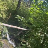 Mima Falls East Trail, Washington - 1,970 Reviews, Map | AllTrails