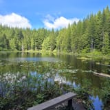 Lily and Lizard Lakes Loop Trail, Washington - 882 Reviews, Map | AllTrails