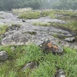 Mount Roberts Trail, New Hampshire - 2,544 Reviews, Map | AllTrails