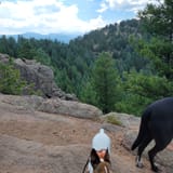 Independence Mountain Trail, Colorado - 5,221 Reviews, Map | AllTrails