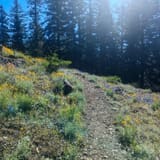 Cone Peak Trail, Oregon - 681 Reviews, Map | AllTrails