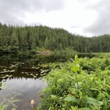 Wallace Falls and Wallace Lake Loop, Washington - 1,450 Reviews, Map ...