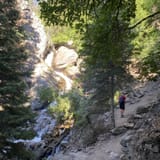 Adams Canyon Trail, Utah - 7,526 Reviews, Map | AllTrails