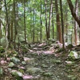 Lye Brook Falls Trail, Vermont - 3,160 Reviews, Map | AllTrails