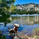 Blue Lake Trail, Idaho - 467 Reviews, Map | AllTrails