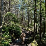 Haystack Mountain Trail, Vermont - 2,096 Reviews, Map | AllTrails
