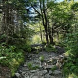 Haystack Mountain Trail, Vermont - 2,096 Reviews, Map | AllTrails