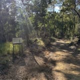 Pages Pinnacle , Queensland, Australia - 1,567 Reviews, Map | AllTrails