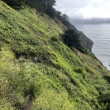 Ragged Point Inn Trail, California - 166 Reviews, Map | AllTrails