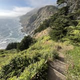 Ragged Point Inn Trail, California - 166 Reviews, Map | AllTrails
