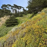 Ragged Point Inn Trail, California - 166 Reviews, Map | AllTrails