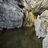 Ragged Point Inn Trail, California - 166 Reviews, Map | AllTrails