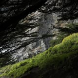 Ragged Point Inn Trail, California - 166 Reviews, Map | AllTrails