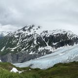 Harding Icefield Trail, Alaska - 3,105 Reviews, Map | AllTrails