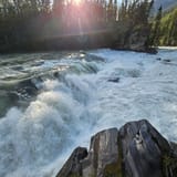 Rearguard Falls Trail, British Columbia, Canada - 220 Reviews, Map ...