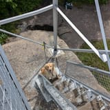 Mount Arab Trail, New York - 2,349 Reviews, Map | AllTrails