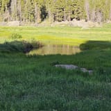 Cub Lake Loop, Colorado - 2,234 Reviews, Map | AllTrails