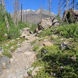 Cub Lake Loop, Colorado - 2,234 Reviews, Map | AllTrails