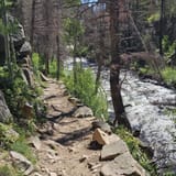 Cub Lake Loop, Colorado - 2,234 Reviews, Map | AllTrails