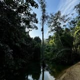 Bukit Serdang Trail, Selangor, Malaysia - 339 Reviews, Map | AllTrails