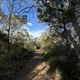 Berrima River Walk, New South Wales, Australia - 85 Reviews, Map ...
