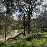 Berrima River Walk, New South Wales, Australia - 85 Reviews, Map ...