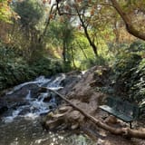 Hidden Falls Trail, California - 4,075 Reviews, Map | AllTrails
