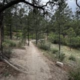 Ute Valley Park Loop Trail, Colorado - 2,740 Reviews, Map | AllTrails