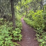 Crypt Lake Trail, Alberta, Canada - 2,523 Reviews, Map | AllTrails