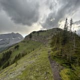 Wind Ridge Trail, Alberta, Canada - 1,290 Reviews, Map | AllTrails