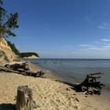 Calvert Cliffs Red Trail, Maryland - 1,719 Reviews, Map | AllTrails