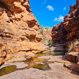 Chain Of Ponds Walk, Northern Territory, Australia - 21 Reviews, Map ...
