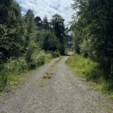 Newborough Forest Circular, Anglesey, Wales - 70 Reviews, Map | AllTrails