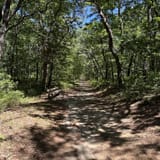 Atlantic White Cedar Swamp Trail, Massachusetts - 1,022 Reviews, Map ...