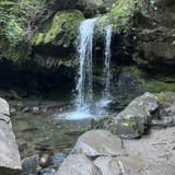 Grotto Falls via Trillium Gap Trail, Tennessee - 6,585 Reviews, Map ...