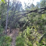 Poor Farm Park Trails, Virginia - 641 Reviews, Map | AllTrails