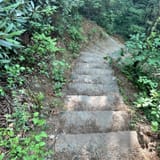 Rock Bridge Trail, Kentucky - 3,629 Reviews, Map | AllTrails