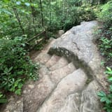 Rock Bridge Trail, Kentucky - 3,629 Reviews, Map | AllTrails