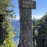 Mount Rose Trail, Washington - 1,366 Reviews, Map | AllTrails