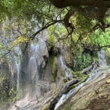 Gorman Falls Trail, Texas - 1,176 Reviews, Map | AllTrails