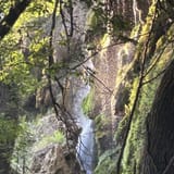 Gorman Falls Trail, Texas - 1,176 Reviews, Map | AllTrails