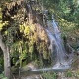 Gorman Falls Trail, Texas - 1,176 Reviews, Map | AllTrails