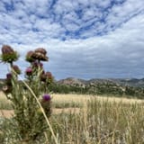 Ute Valley Park Loop Trail, Colorado - 2,740 Reviews, Map | AllTrails