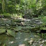 Tinker Falls Trail, New York - 552 Reviews, Map | AllTrails