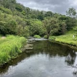 Chee Dale Gorge Circular, Derbyshire, England - 1,649 Reviews, Map ...