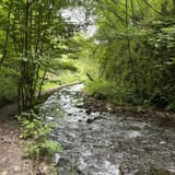 Chee Dale Gorge Circular, Derbyshire, England - 1,649 Reviews, Map ...