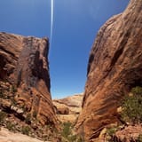 Syncline Loop, Utah - 1,073 Reviews, Map | AllTrails