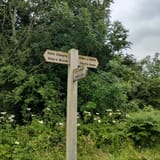 Wepre Park Circular, Flintshire, Wales - 498 Reviews, Map | AllTrails