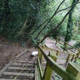 Wepre Park Circular, Flintshire, Wales - 493 Reviews, Map | AllTrails