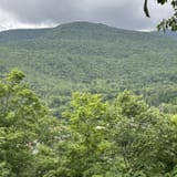 Tanbark Loop, New York - 745 Reviews, Map | AllTrails